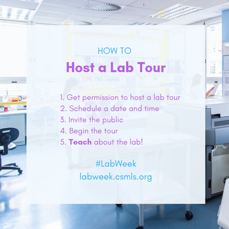 NMLW2019 | Members Area